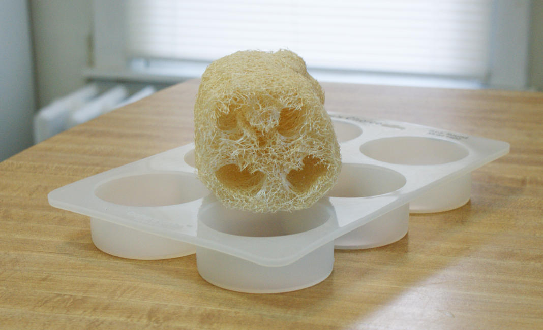 DIY Melt and Pour Loofah Soap Recipe - Soap Deli News