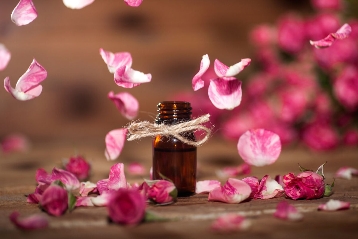 DIY Rosewater Toner: How to Make Rose Toner for Natural Skin Care