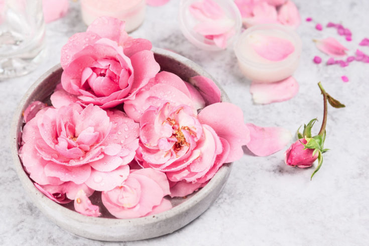 DIY Rosewater Toner: How to Make Rose Toner for Natural Skin Care