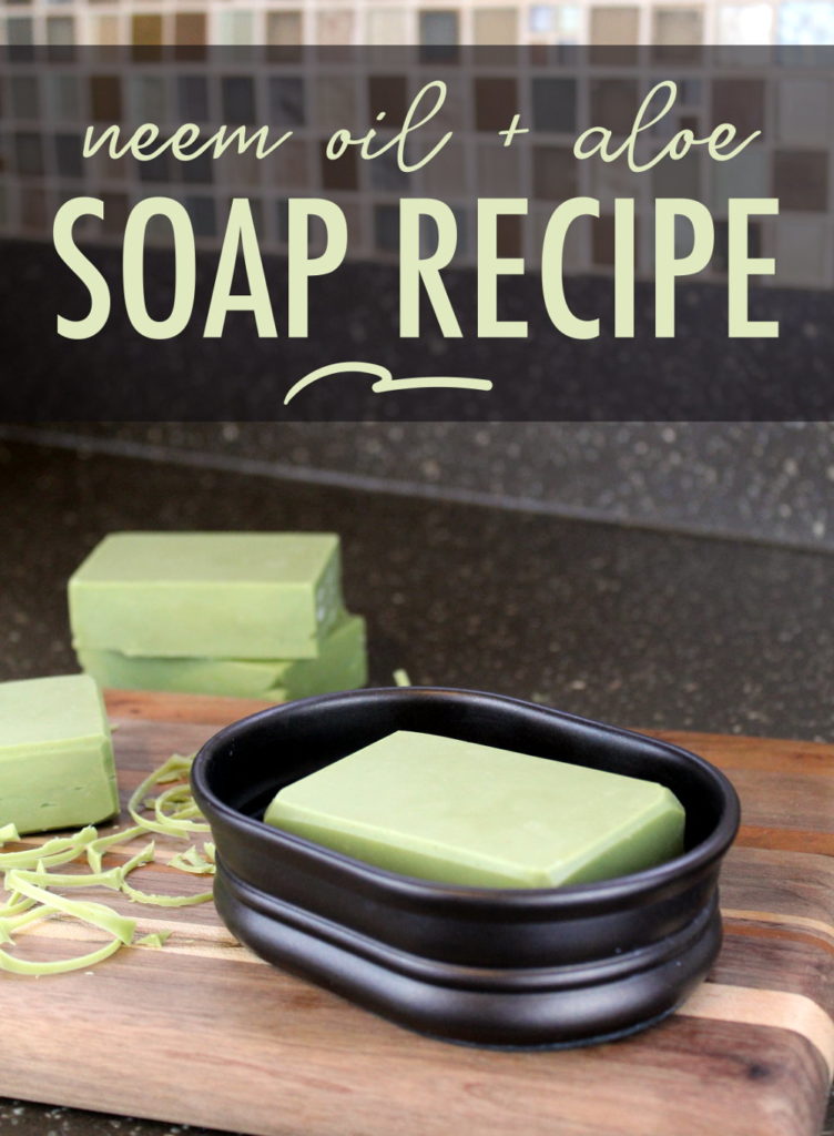 Aloe Vera Soap Recipe with Neem Oil - Soap Deli News