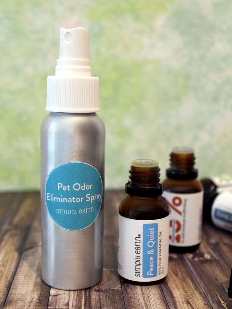 Essential Oils for Pets (Recipes for Dog Fleas, Itchy Skin & More!)