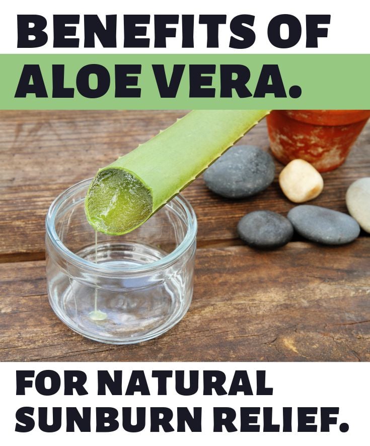 Aloe After Sun Lotion Bar Recipe for Natural Summer Skin Care