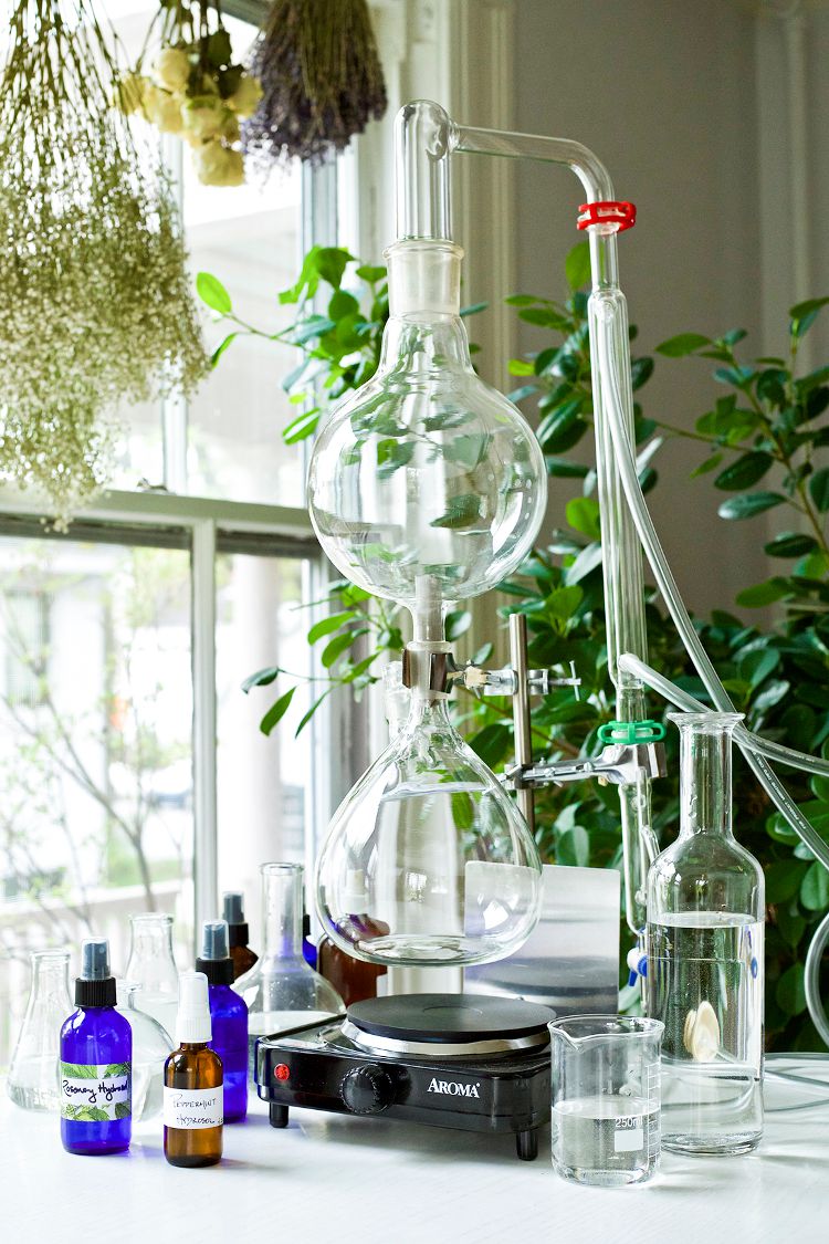 Botanical Skin Care: 200+ Herbal Beauty Recipes & More