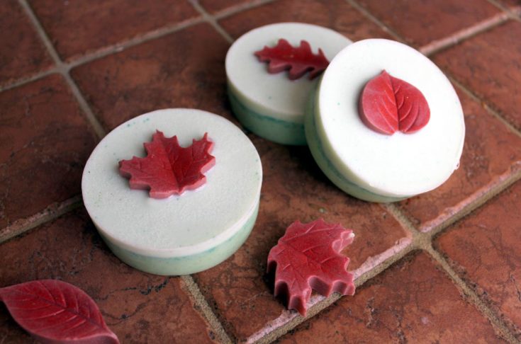 Fall Soap Ideas: Creative Homemade Soap Recipes & DIY Ideas for Fall
