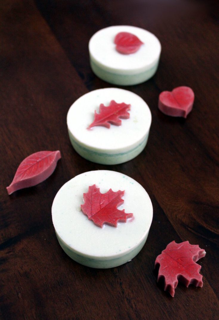 Fall Soap Ideas: Creative Homemade Soap Recipes & DIY Ideas for Fall