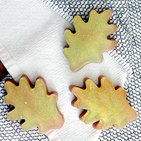 Easy Fall Melt and Pour Soap Recipes for Beginners - Soap Deli News