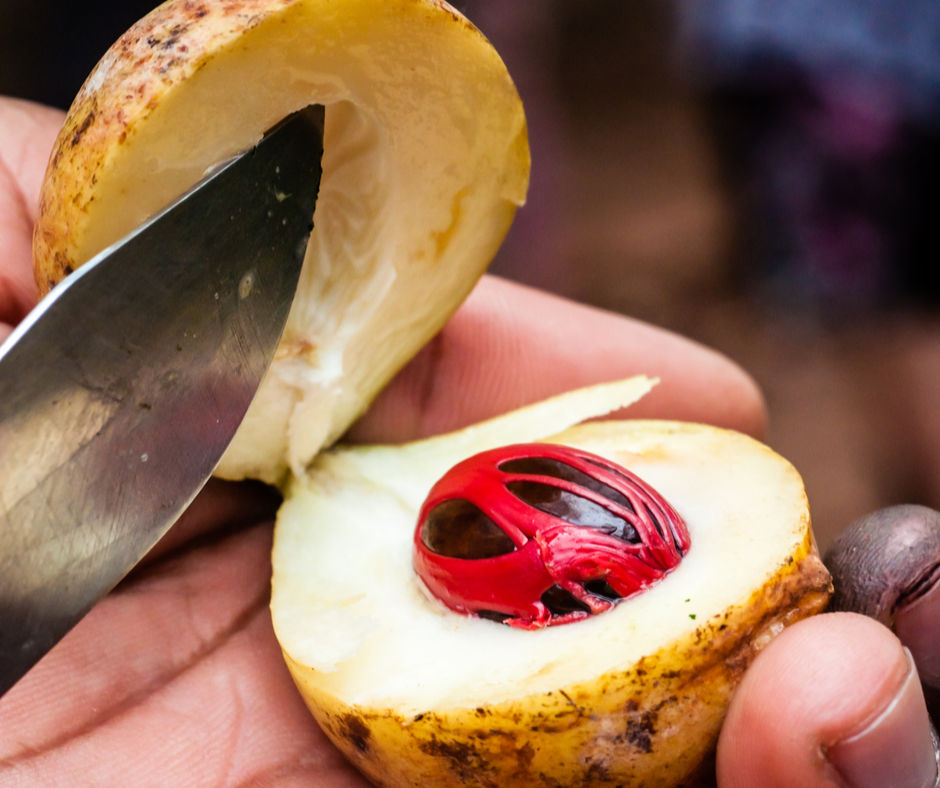 Cooking & Baking with Mace: The Vintage Spice You Need to Try!