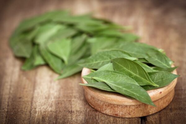 What to Expect from a Henna Hair Treatment & Benefits of Henna for Hair