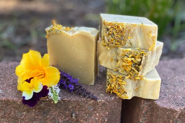 Calendula Soap Recipe Cold Process Soap Recipe With Calendula Oil