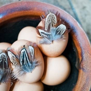 DIY Feather Easter Eggs: Easy Farmhouse Style Rustic Easter Decor