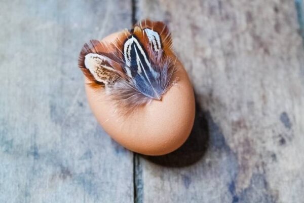 DIY Feather Easter Eggs: Easy Farmhouse Style Rustic Easter Decor
