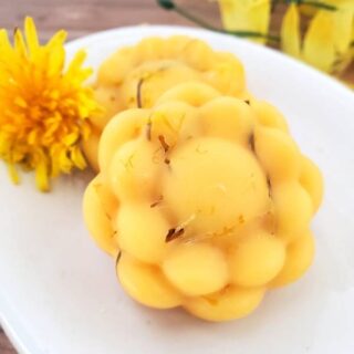 How to Make Dandelion Lotion Bars Using Dandelion Oil Plus Benefits